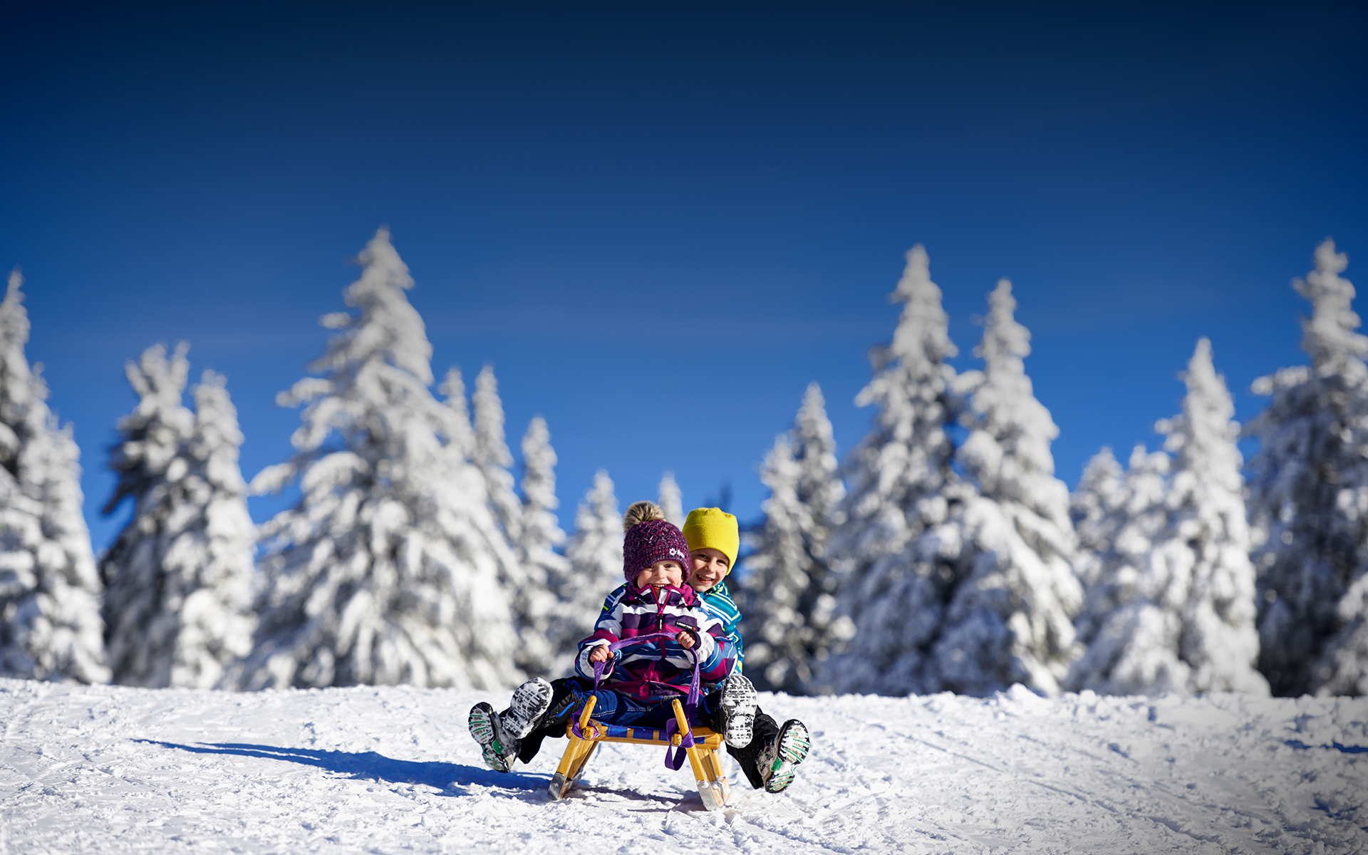 Turistična destinacija Rogla-Pohorje - doživetja za vse generacije