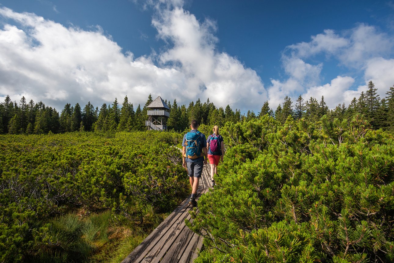 Hiking trail - Path to the Lovrenc Lakes