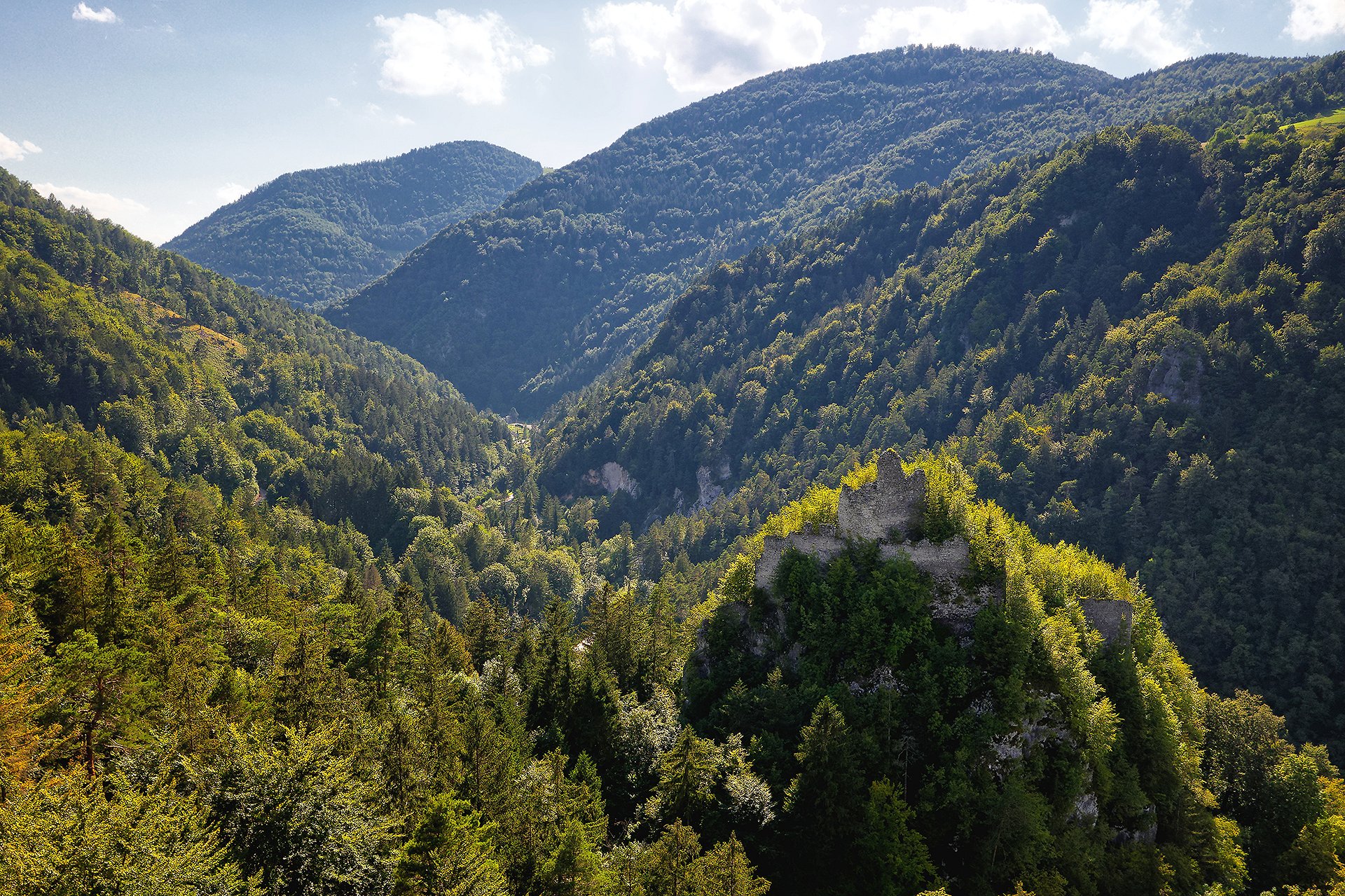 The Old Vitanje Castle